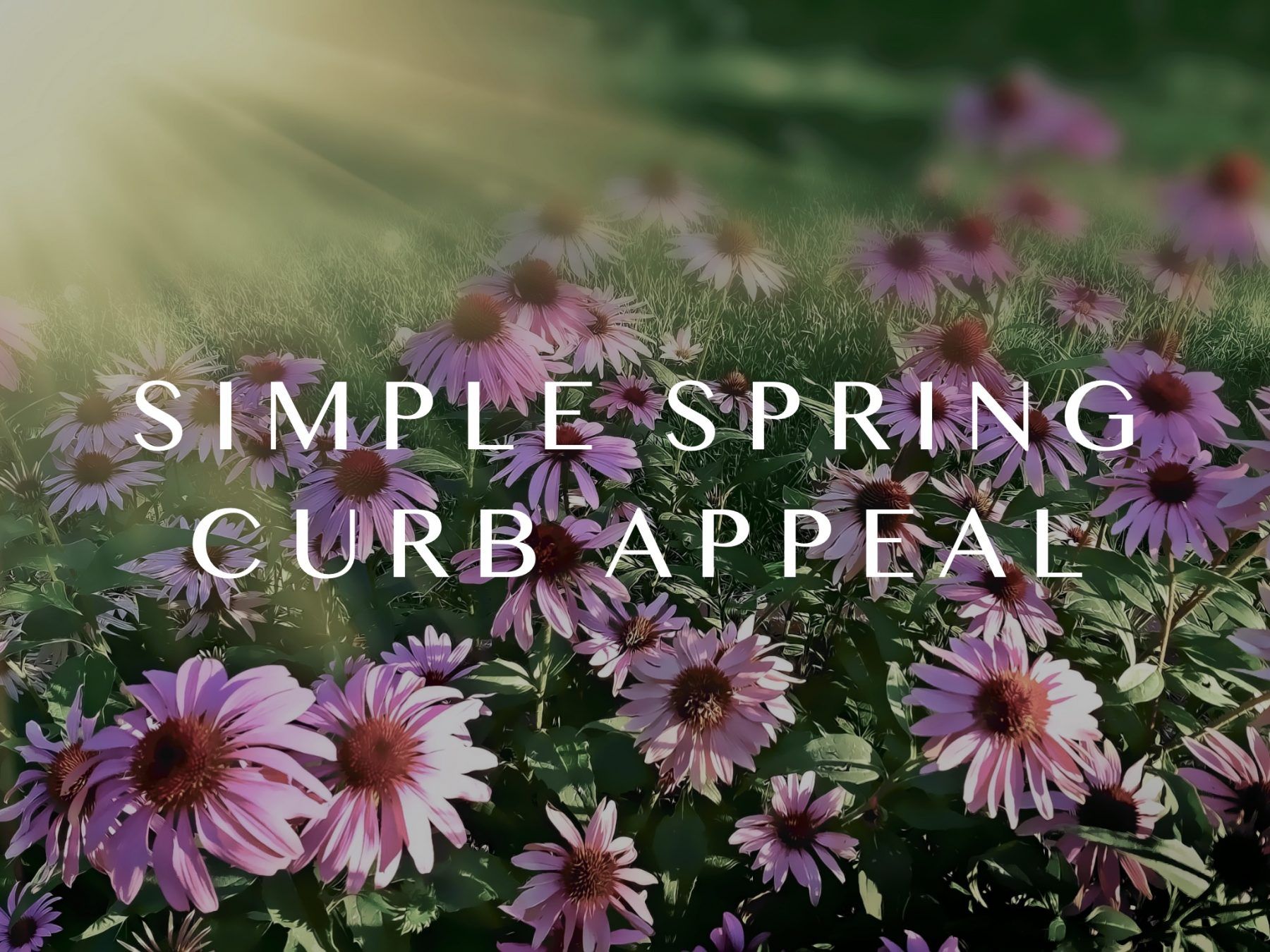 Simple Spring Curb Appeal - Val Lemoine and The Real Estate Made Easy Group